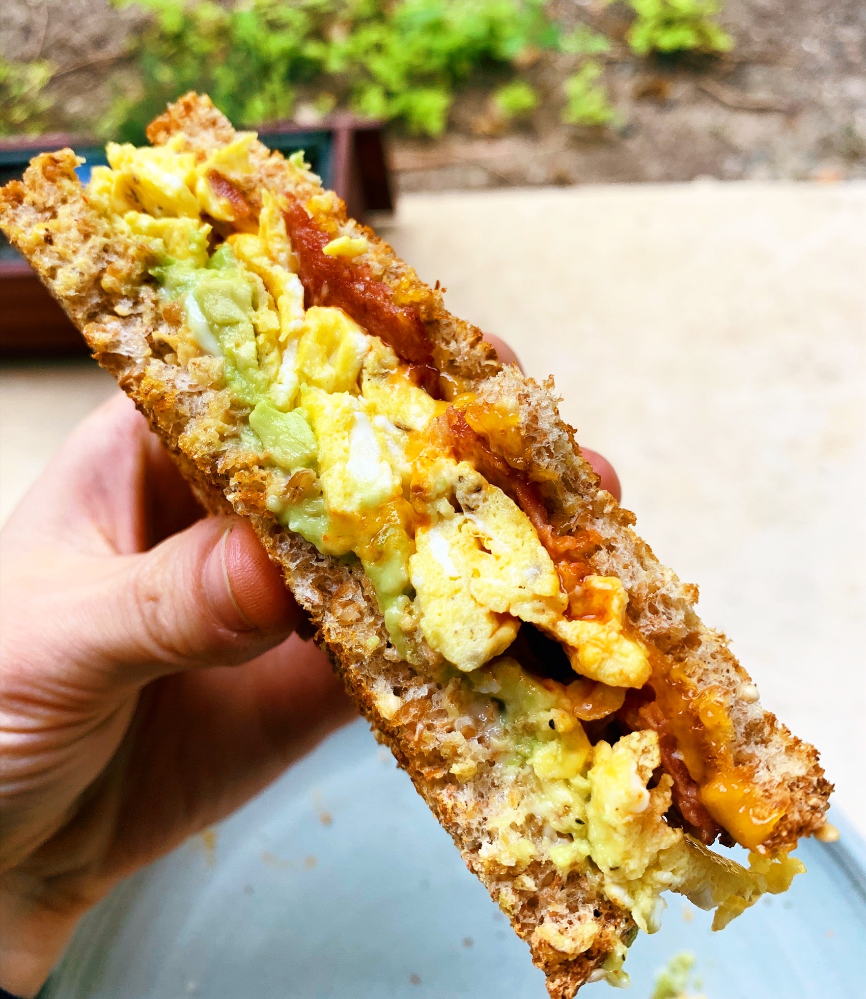 BECA (Bacon, Egg, Cheese, Avocado) Sandwich